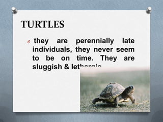 Time Management | PPTX | Reptiles | Pets