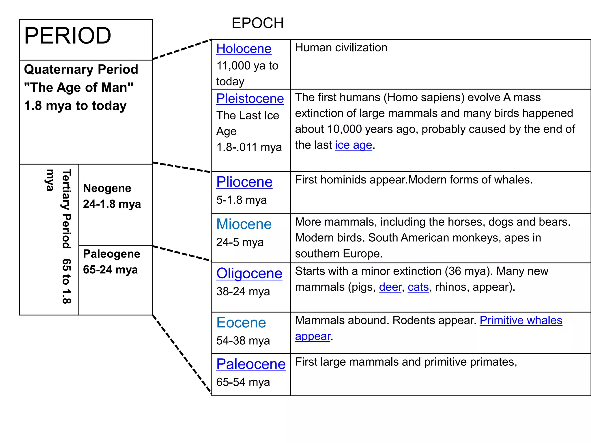 Geology Time Scale | PPTX