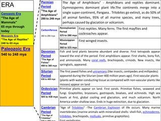 Geology Time Scale | PPTX
