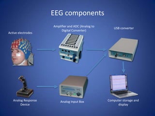 Introduction to EEG: Instrument and Acquisition | PPTX