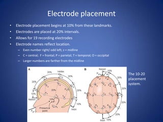 Introduction to EEG: Instrument and Acquisition | PPTX