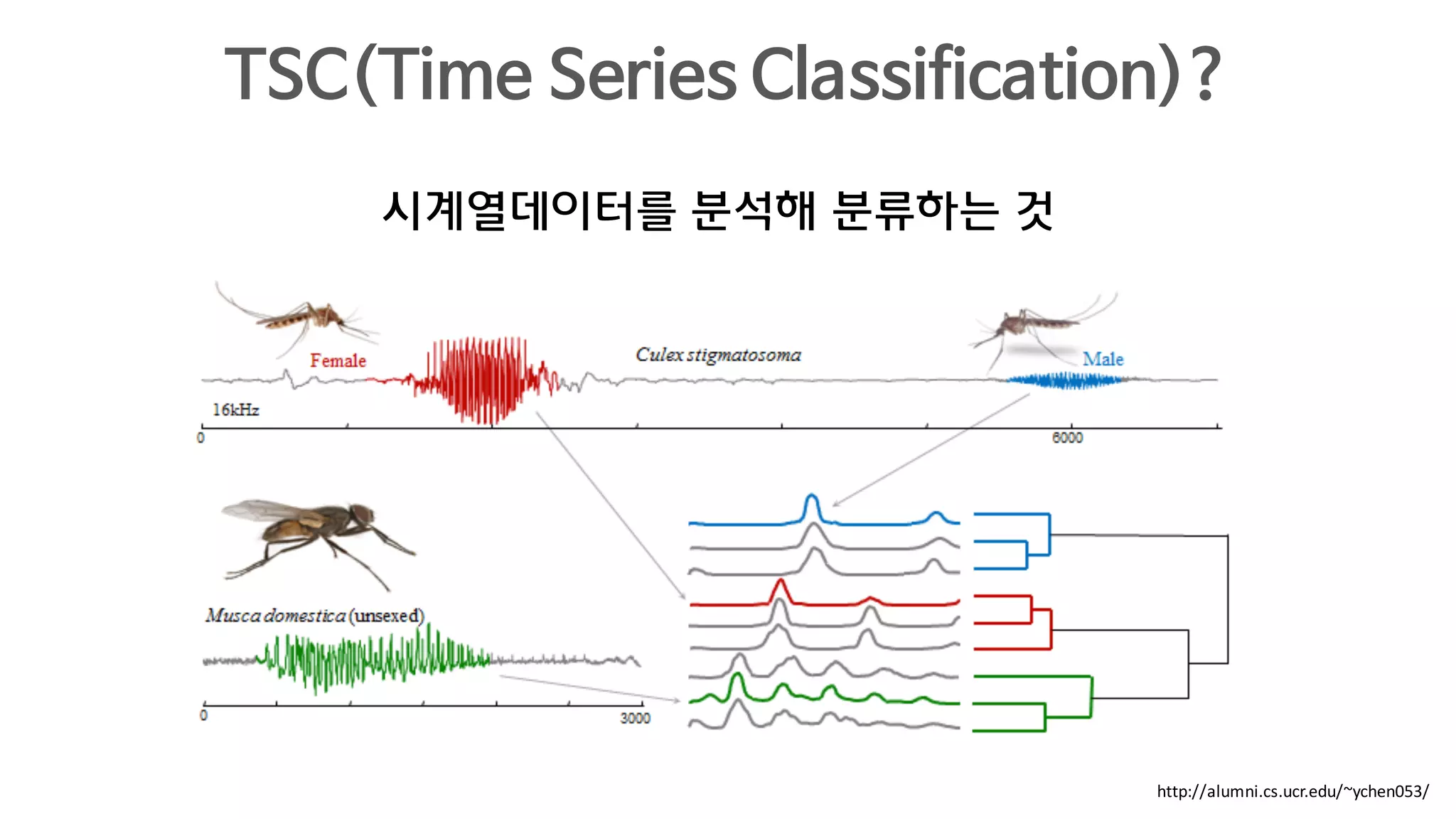 Time series classification | PPT