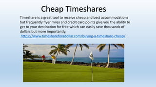 Timeshare for a dollar | PPT