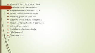 Time since death fmt.pptx