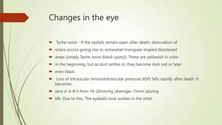 Time since death fmt.pptx