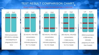 HCG Weekly Pregnancy test and Ovulation Peak test.pdf