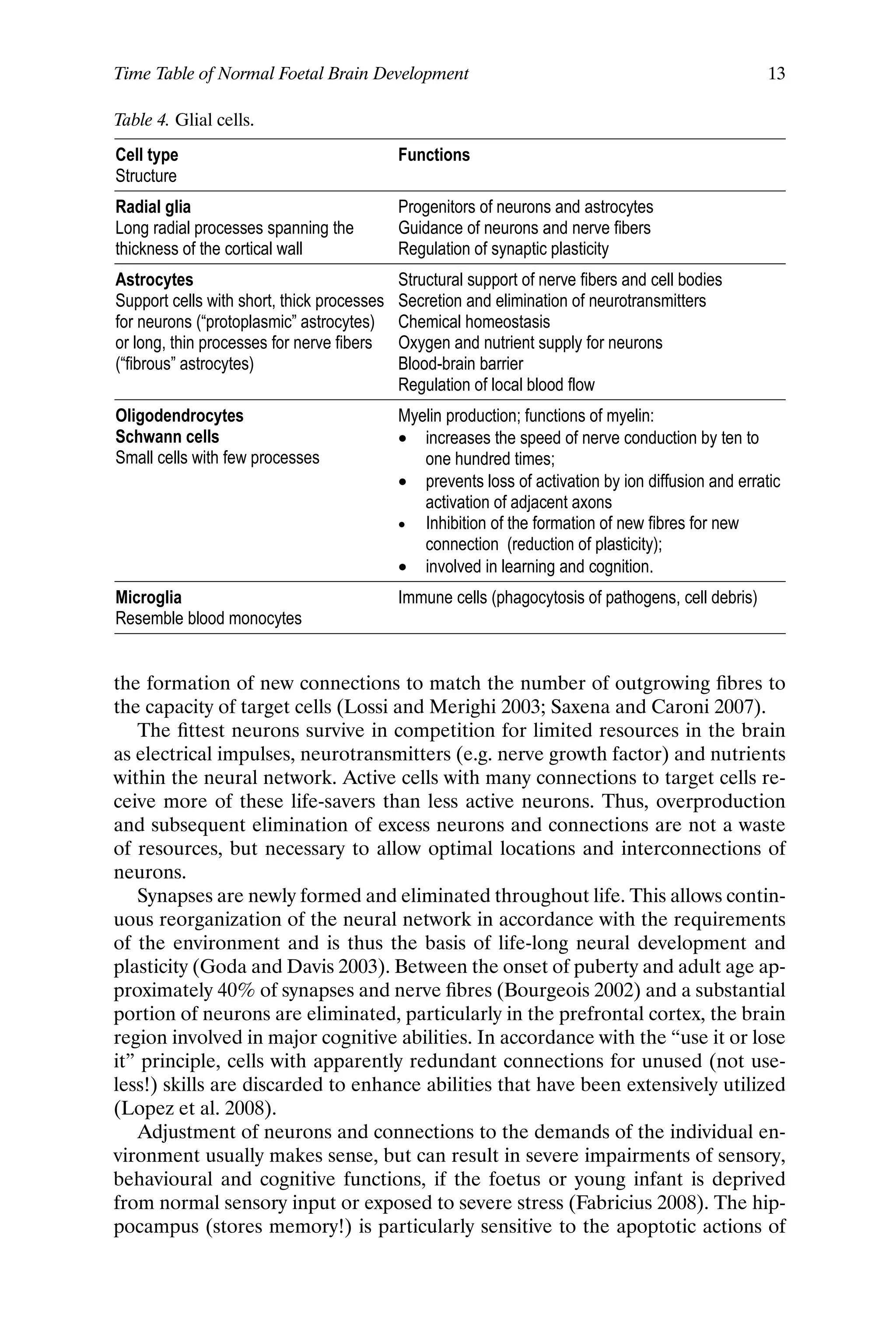 Time table of normal foetal brain development | PDF