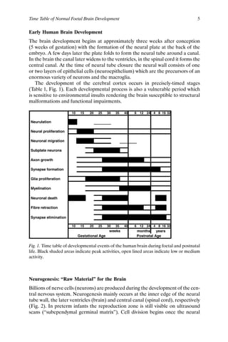 Time table of normal foetal brain development | PDF