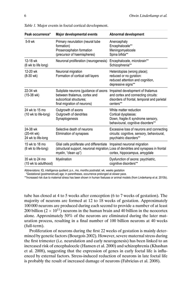 Time table of normal foetal brain development | PDF