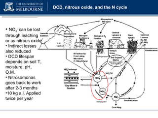Is it commercially viable to use dicyandiamide on a dairy farm in south ...