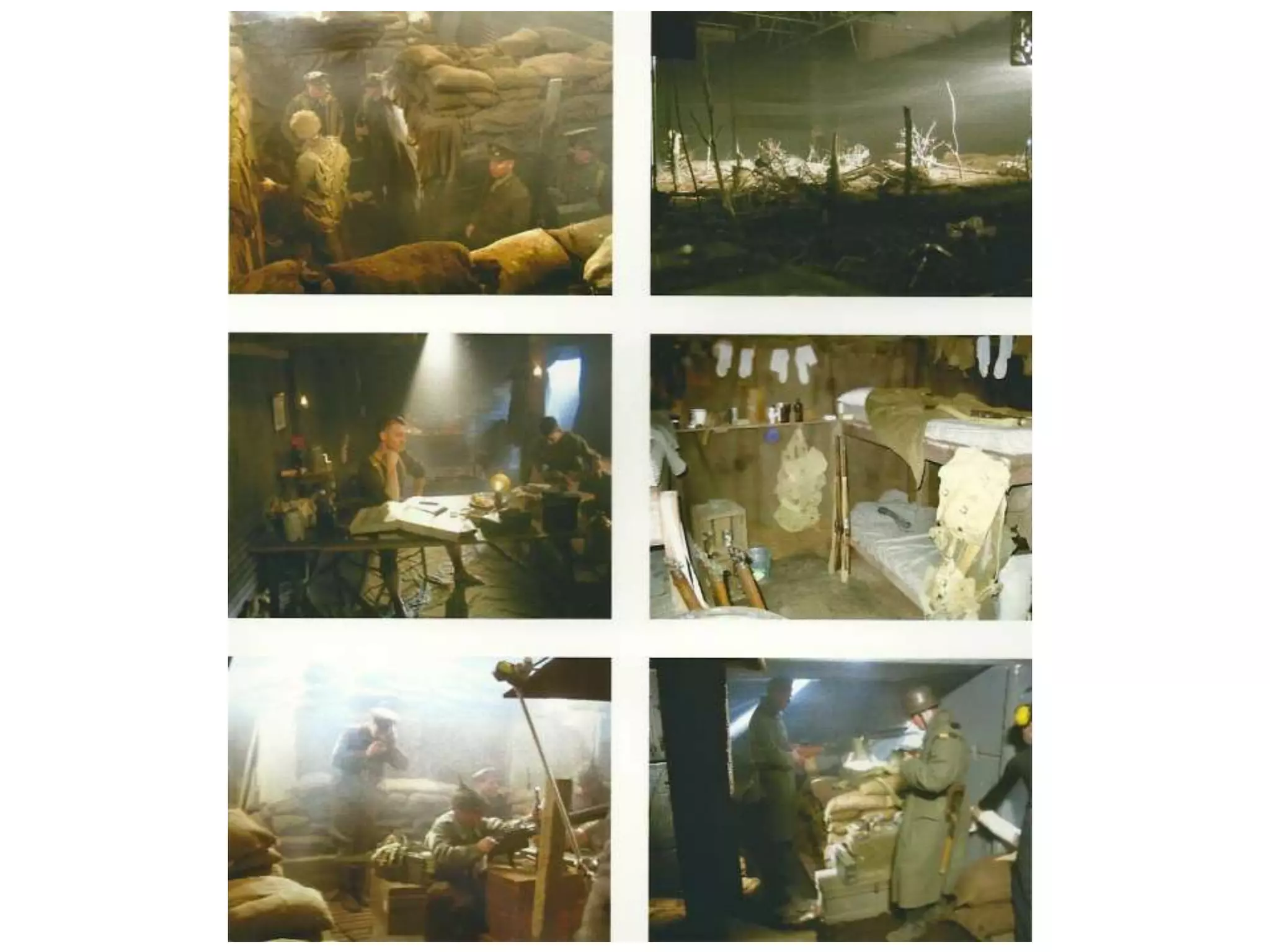 Tim Luke Resume Powerpoint | PPT