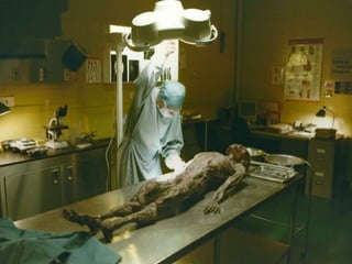 Tim Luke Resume Powerpoint | PPT