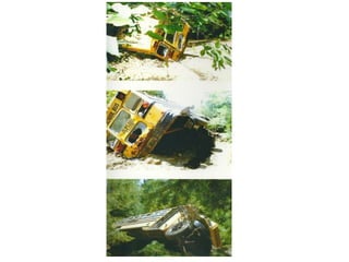 Tim Luke Resume Powerpoint | PPT