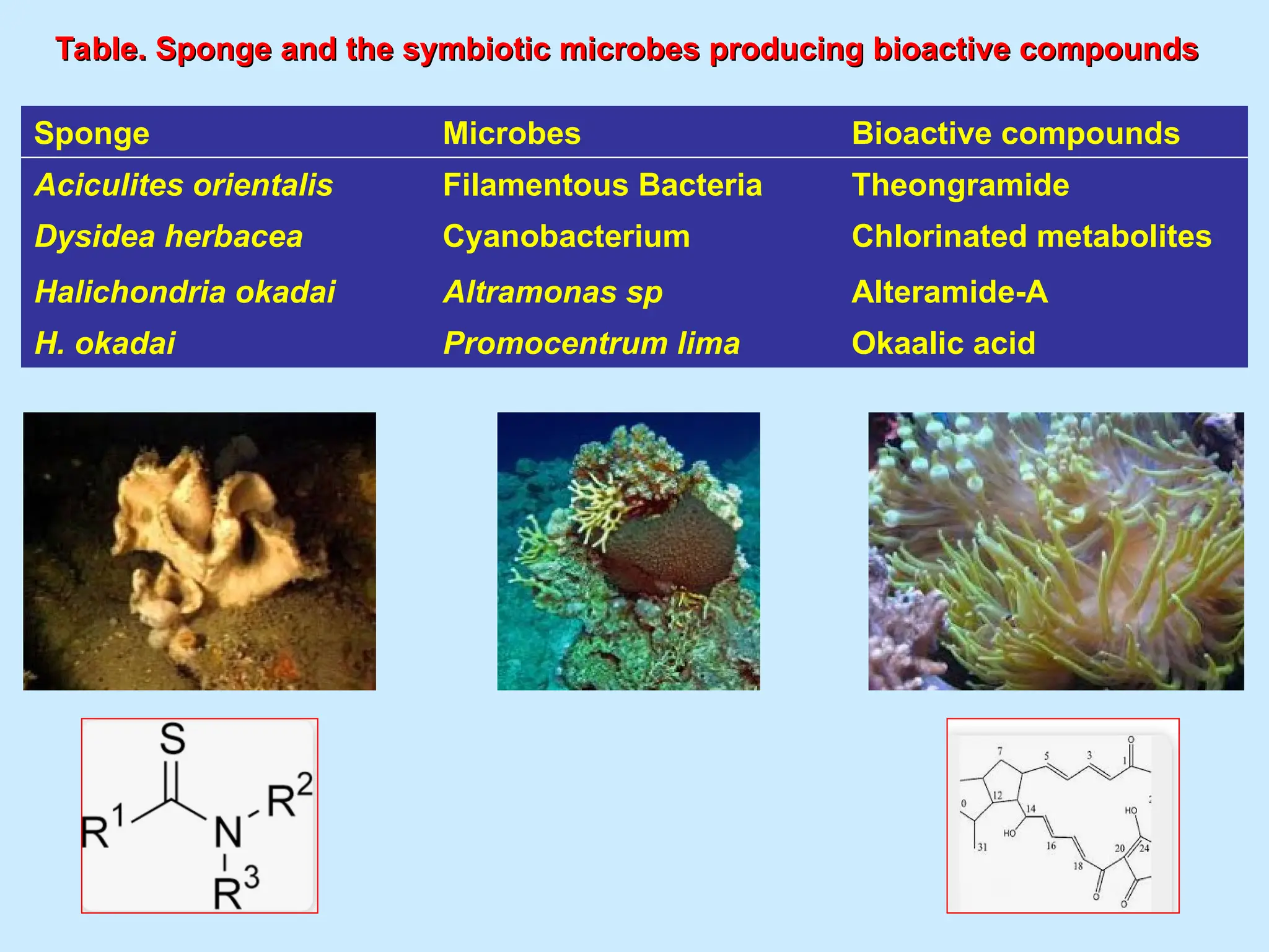 Concepts and applications of marine microbes | PPT