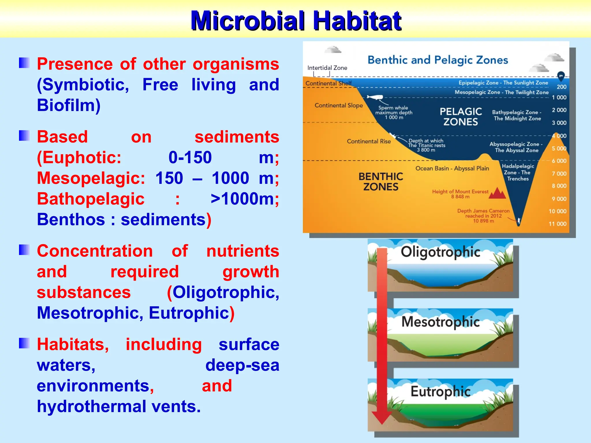 Concepts and applications of marine microbes | PPT