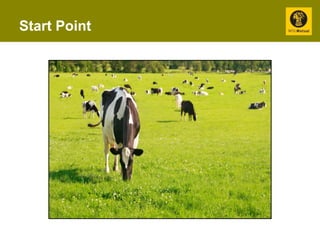 Tim Mann, CIO at NFU Mutual - Digital Transformation Case Studies: how ...