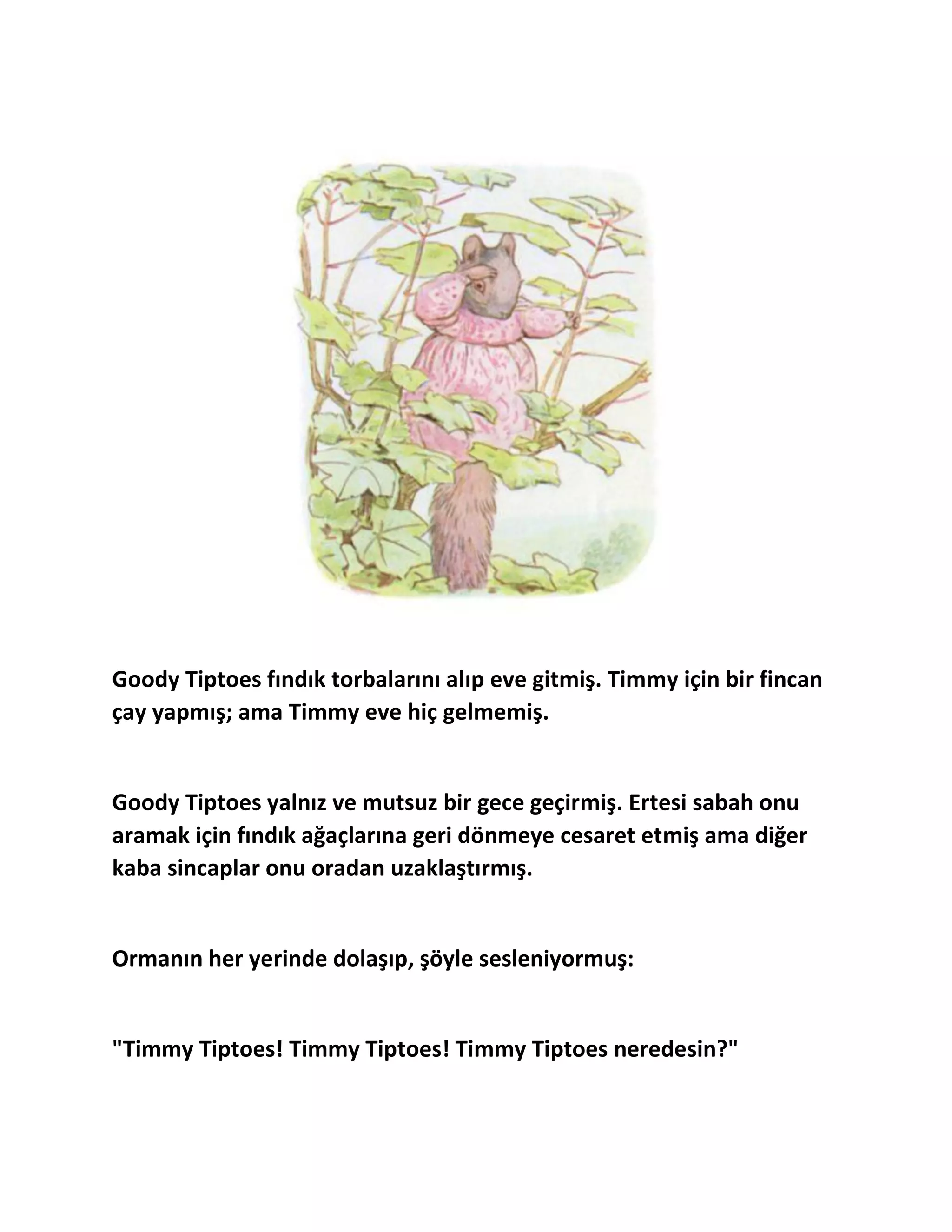 TIMMY TIPTOES HİKAYESİ | PDF