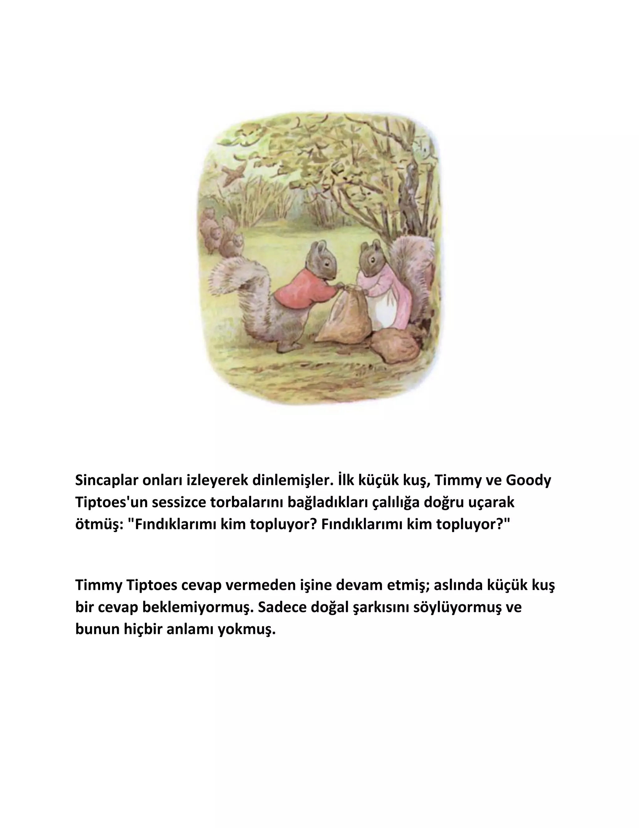 TIMMY TIPTOES HİKAYESİ | PDF