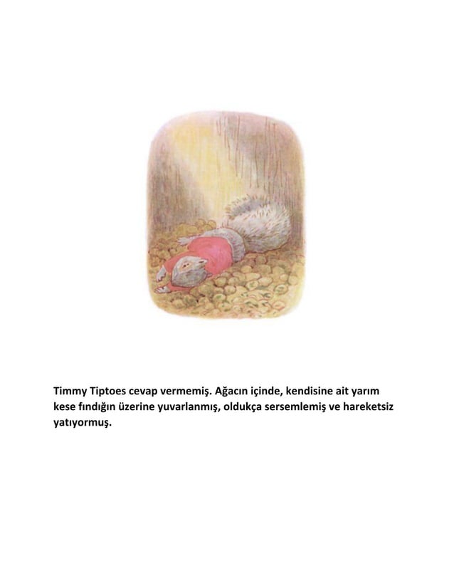 TIMMY TIPTOES HİKAYESİ | PDF