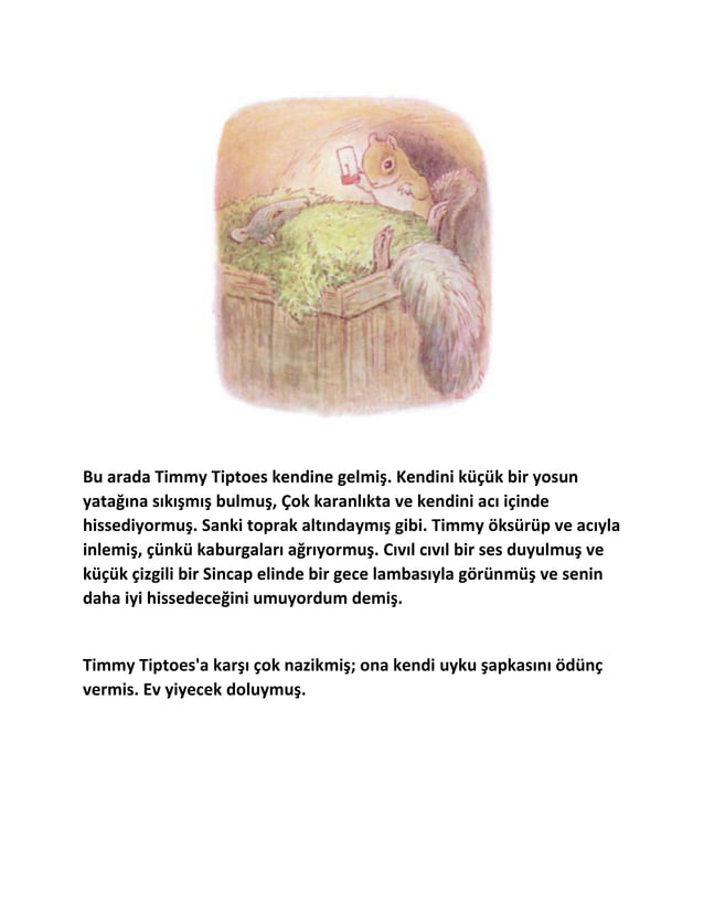 TIMMY TIPTOES HİKAYESİ | PDF