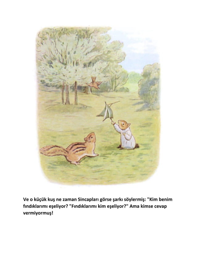 TIMMY TIPTOES HİKAYESİ | PDF