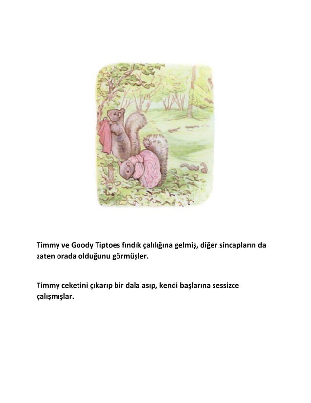 TIMMY TIPTOES HİKAYESİ | PDF