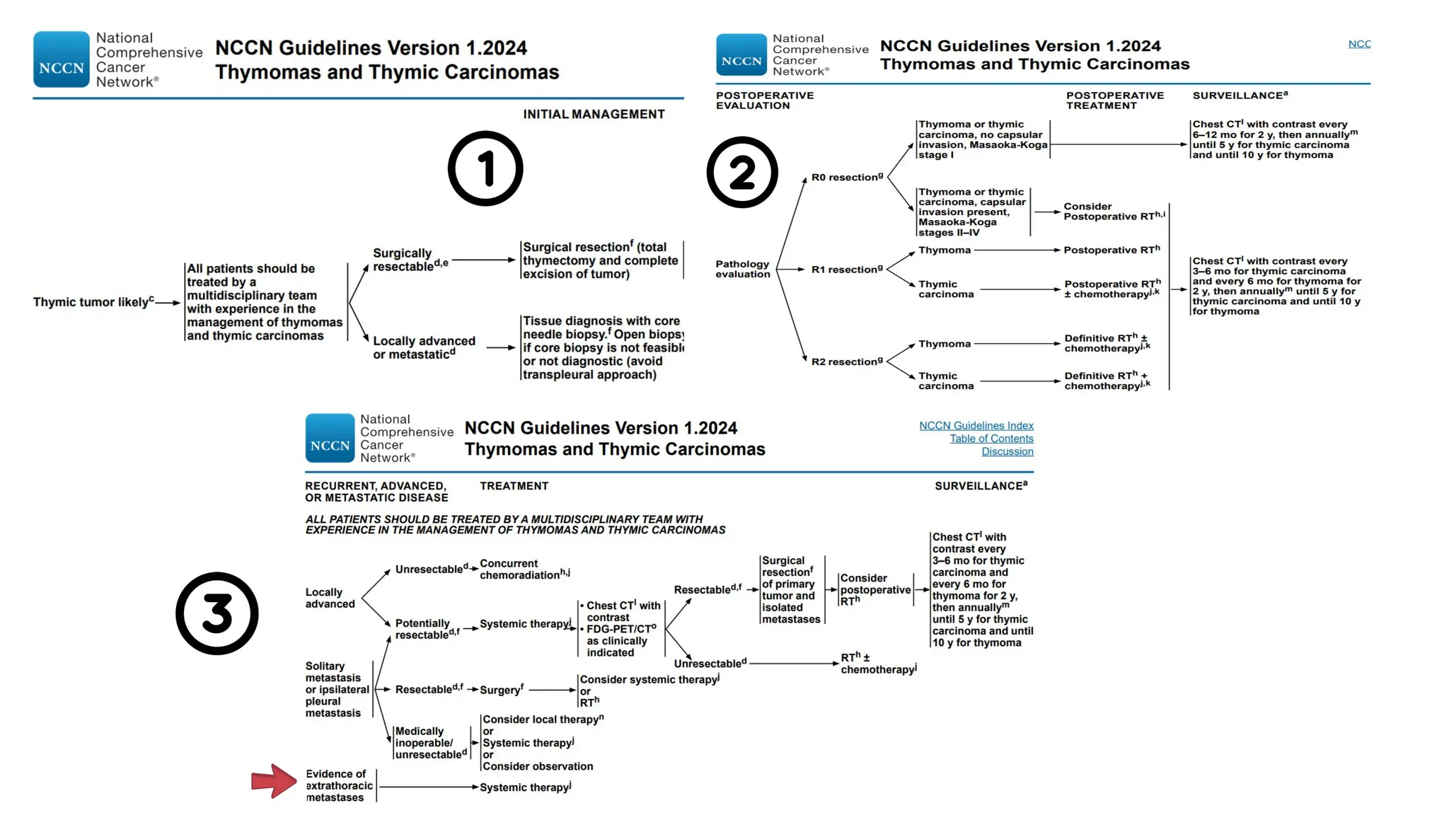 generalidades y tratamiento de cancer de timo | PPTX