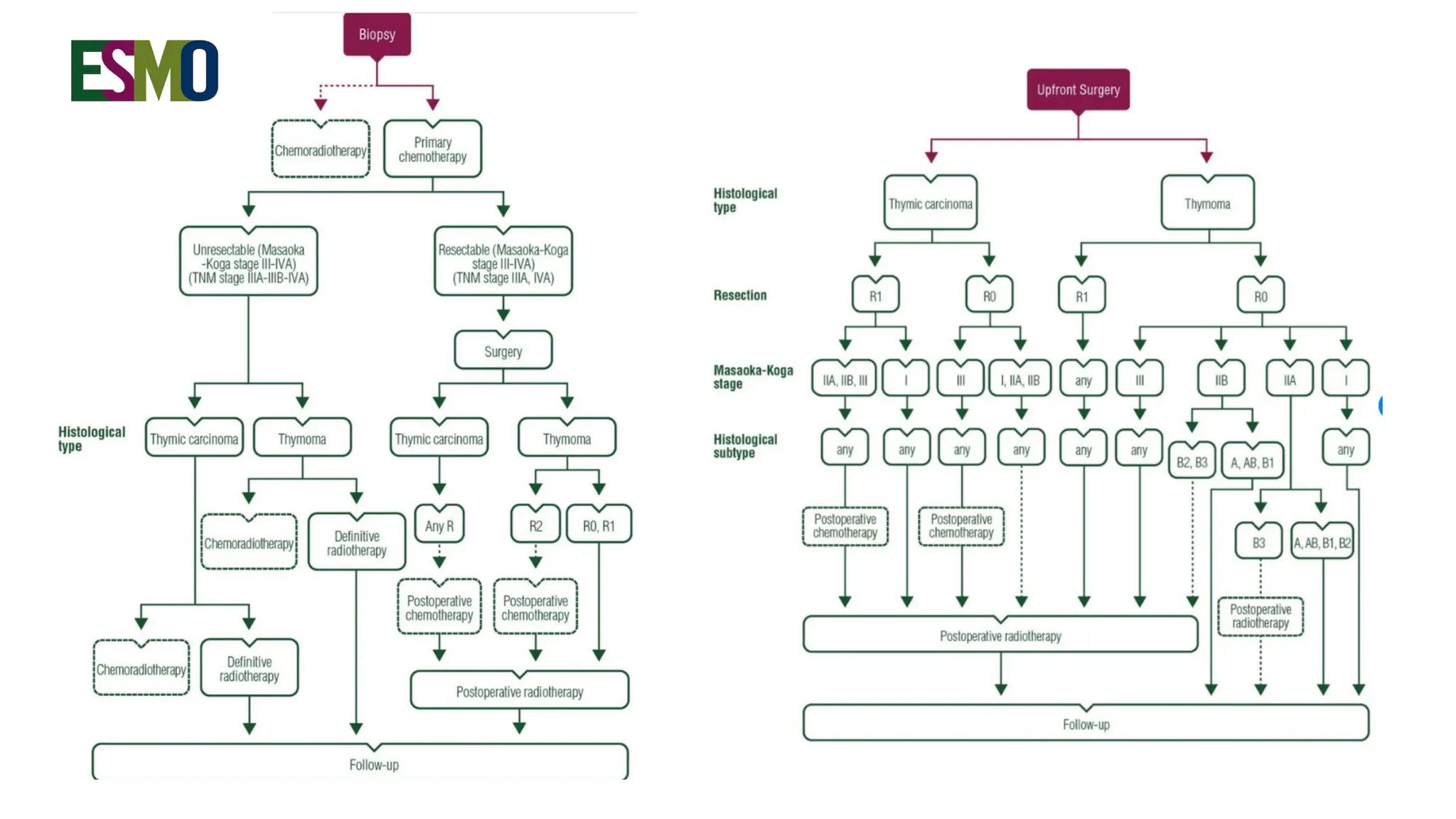 generalidades y tratamiento de cancer de timo | PPTX