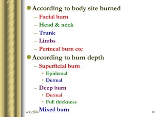 Burn Injury and introduction & physiology | PDF