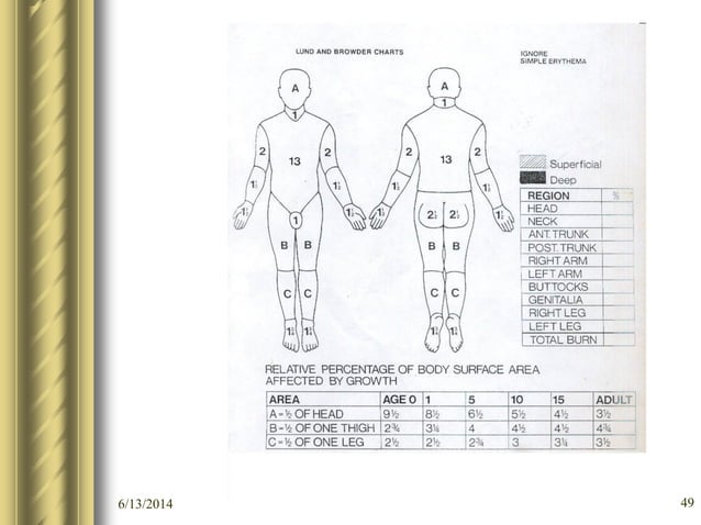 Burn Injury and introduction & physiology | PPT