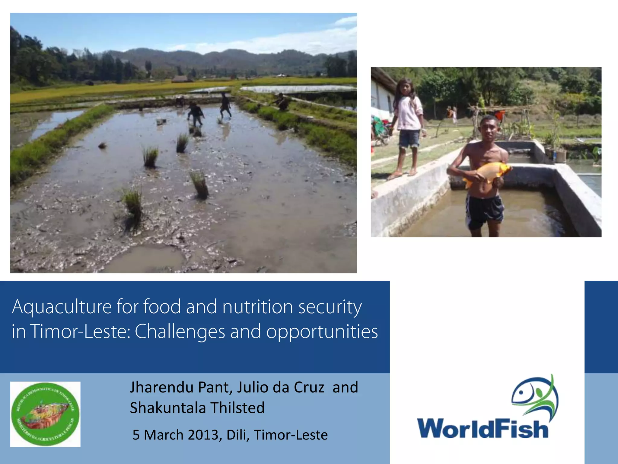 Aquaculture for food and nutrition security in Timor-Leste: Challenges and opportunities | PPT