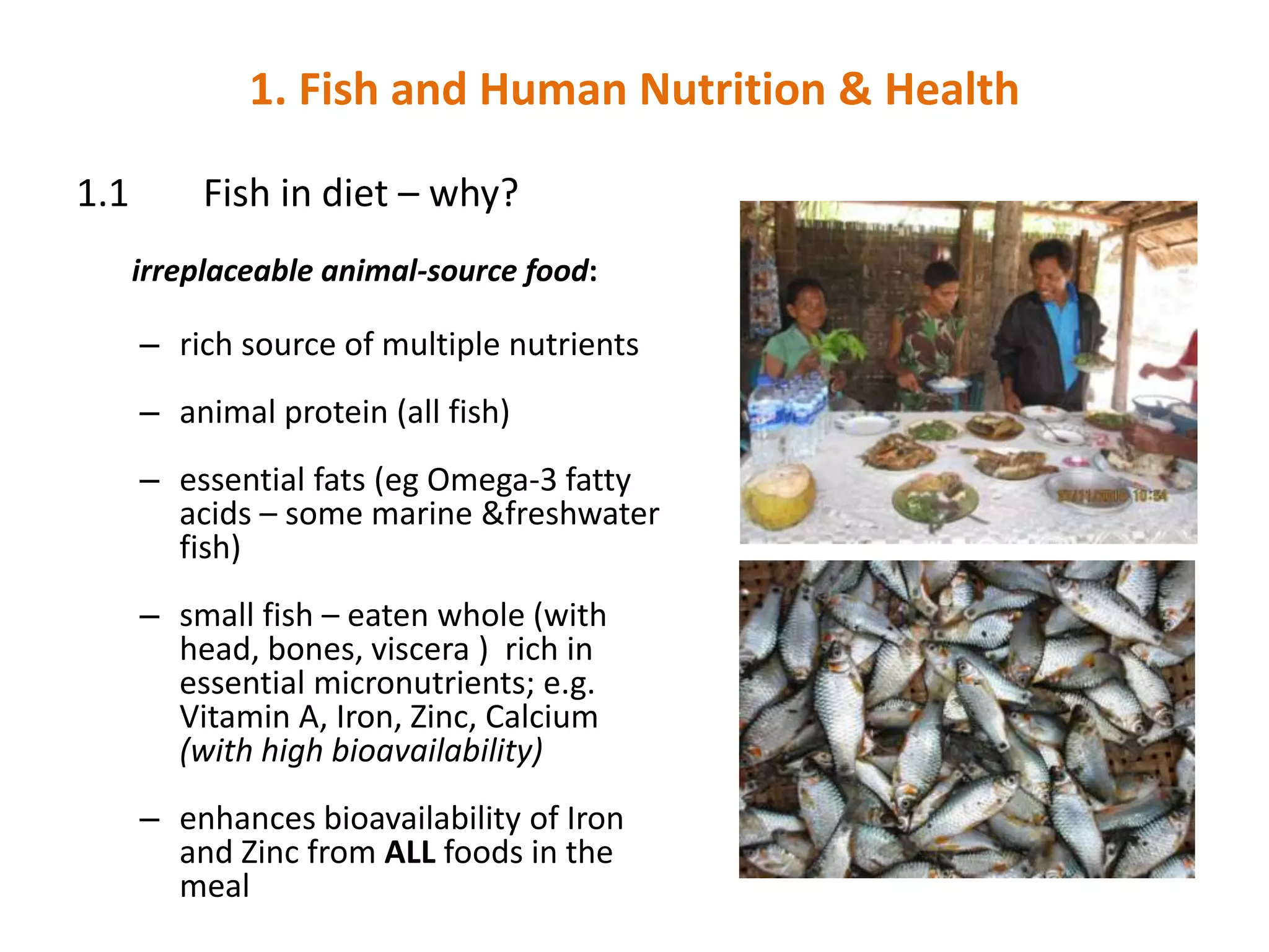 Aquaculture for food and nutrition security in Timor-Leste: Challenges and opportunities | PPT