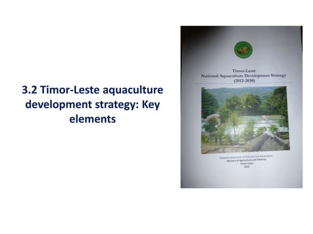 Aquaculture for food and nutrition security in Timor-Leste: Challenges and opportunities | PPT