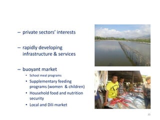 Aquaculture for food and nutrition security in Timor-Leste: Challenges and opportunities | PPT