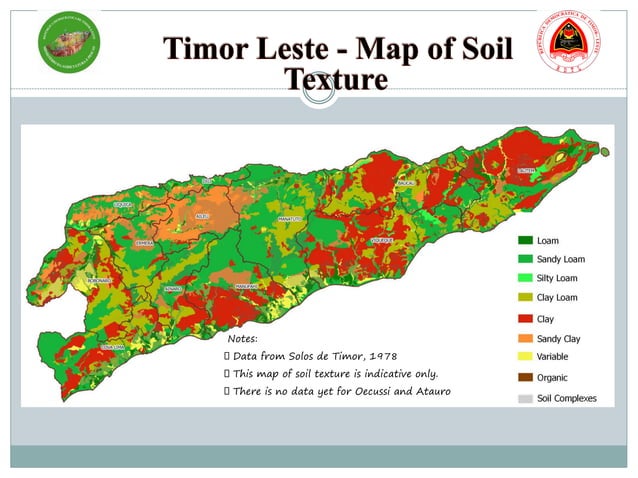 Timor Leste | PDF