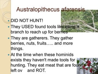 Timothy_early man's tools | PPTX | Geology | Science