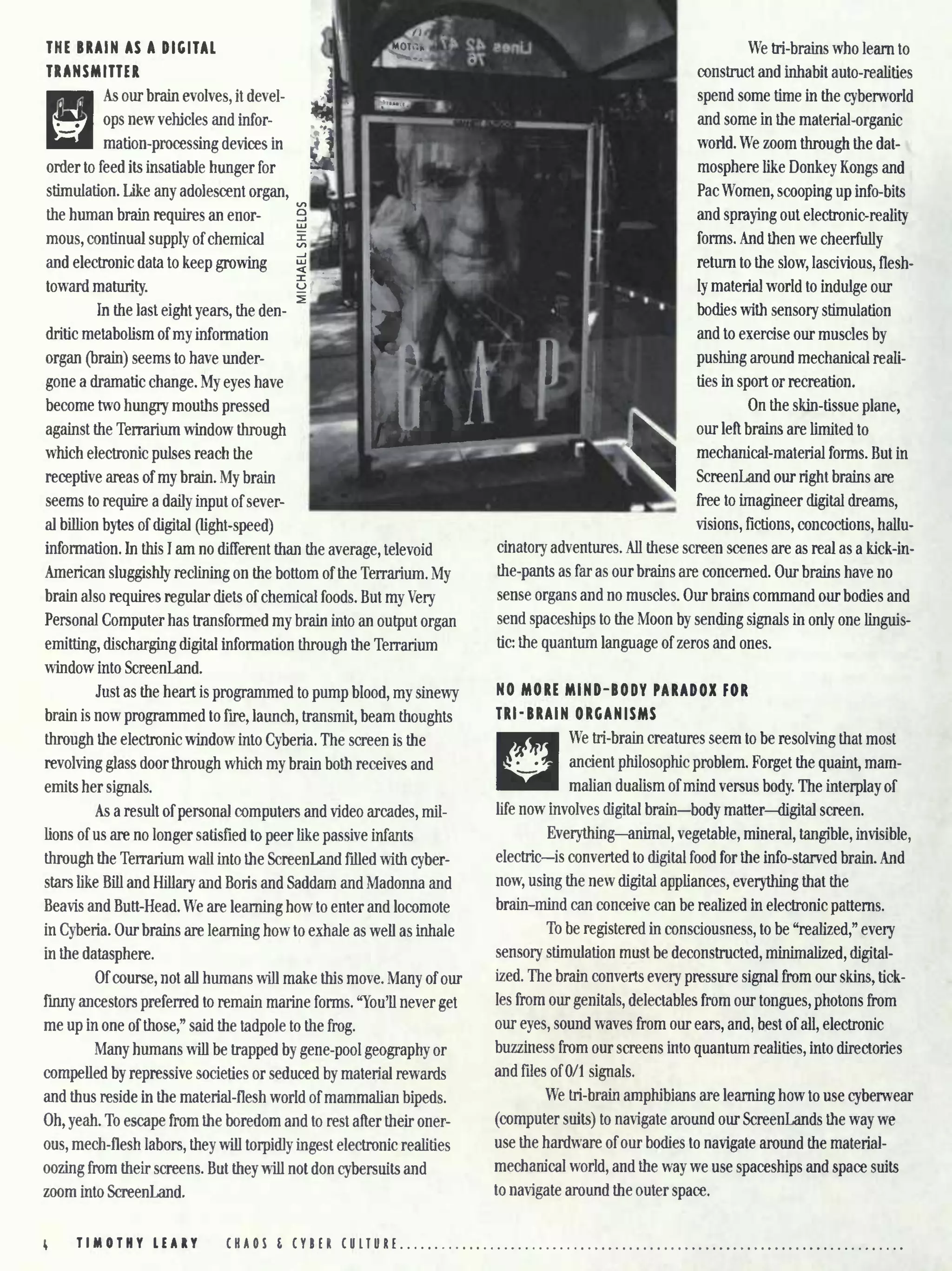 Chaos & Cyber Culture | PDF