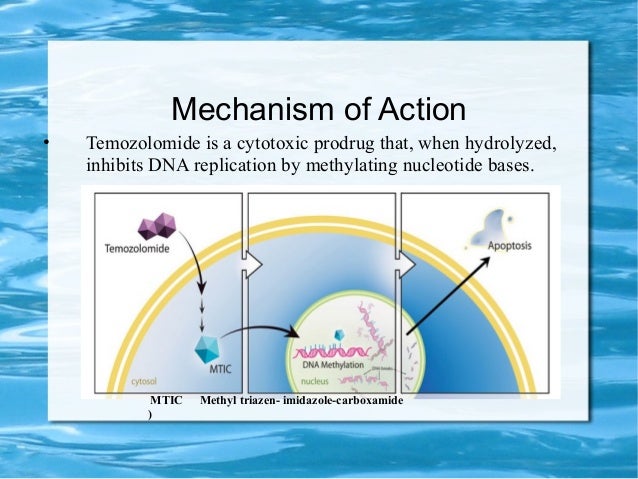 Temozolamide by Dr. Ketan Kalariya