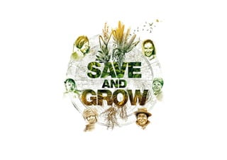 UNAA Global Food Security & Sustainable Agriculture Seminar - Professor ...