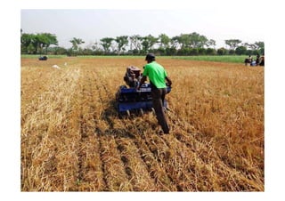 UNAA Global Food Security & Sustainable Agriculture Seminar - Professor ...