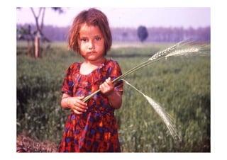 UNAA Global Food Security & Sustainable Agriculture Seminar - Professor ...