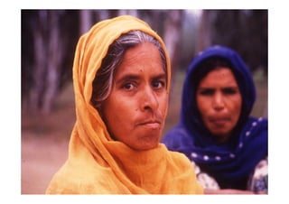 UNAA Global Food Security & Sustainable Agriculture Seminar - Professor ...