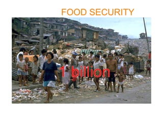 UNAA Global Food Security & Sustainable Agriculture Seminar - Professor ...