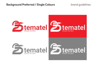 25th Stematel Brand Guidelines | PDF