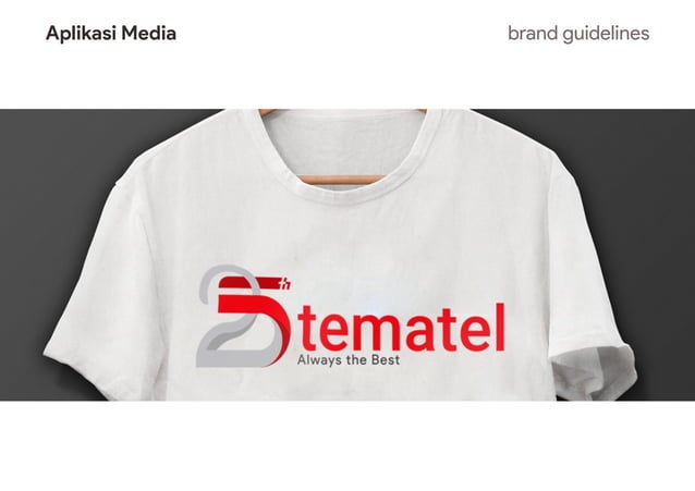 25th Stematel Brand Guidelines | PDF