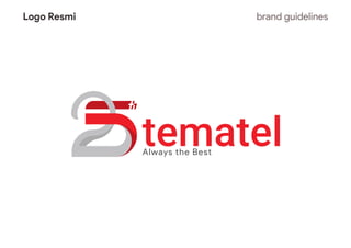25th Stematel Brand Guidelines | PDF