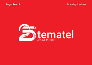 25th Stematel Brand Guidelines | PDF