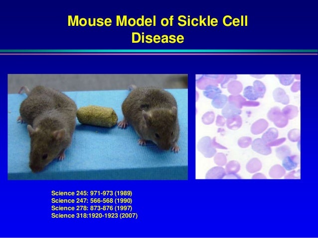 Patient-Specific Stem Cell Therapy for Inherited and Acquired Disorde…