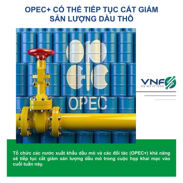 🔰🔰BẢN TIN THỊ TRƯỜNG 30/11🔰 🔰 | PDF