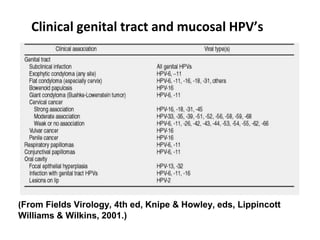 human_papilomma_viruses_(3).pptx
